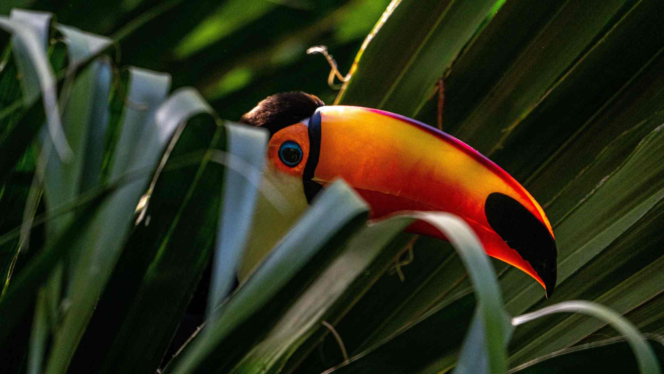 Commercial and Personal insurance for brokers | AXA Connect